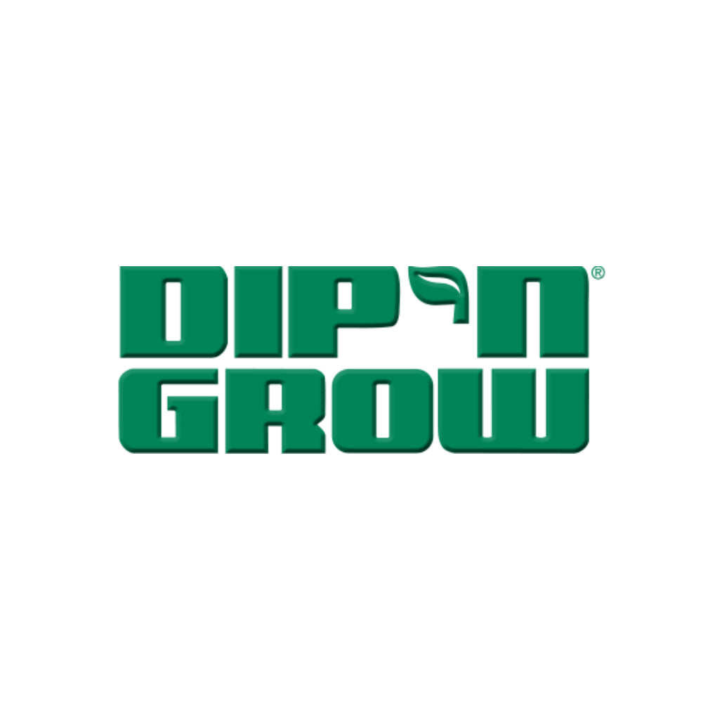 Dip 'N Grow