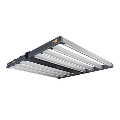 Gavita Grow Lights -- LED Bar Arrays & HPS Fixtures | Hydrobuilder