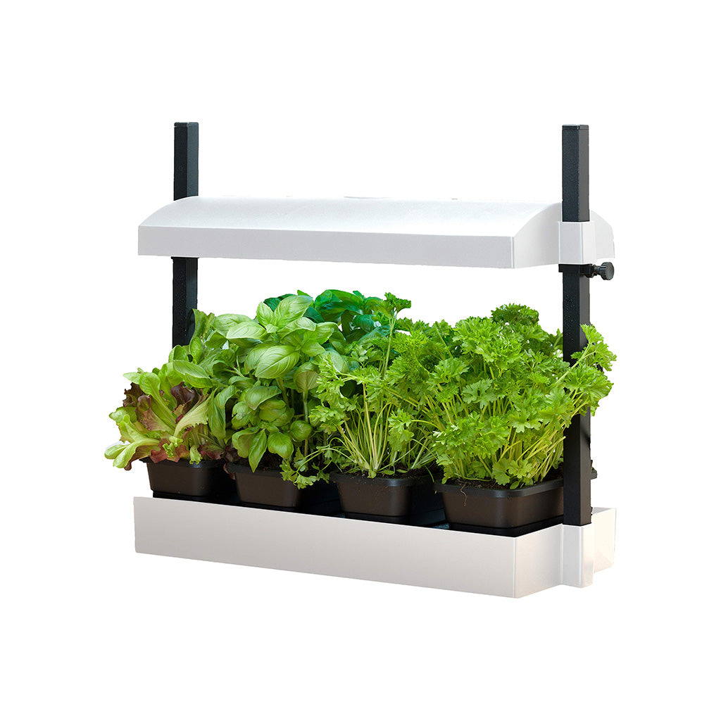 Micro Gardens & Compact Hydroponic Systems | Hydrobuilder