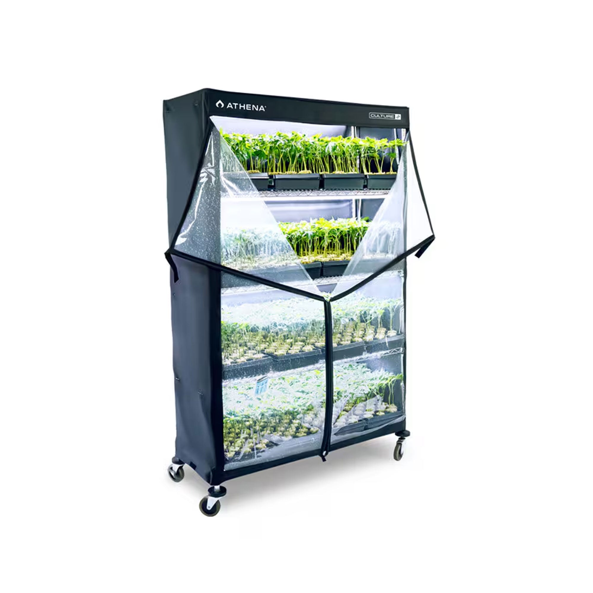 Propagation Rack Systems & Cloning Kits | Hydrobuilder