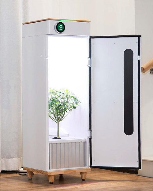Hey Abby Automated Smart Grow Box for Indoor Plants