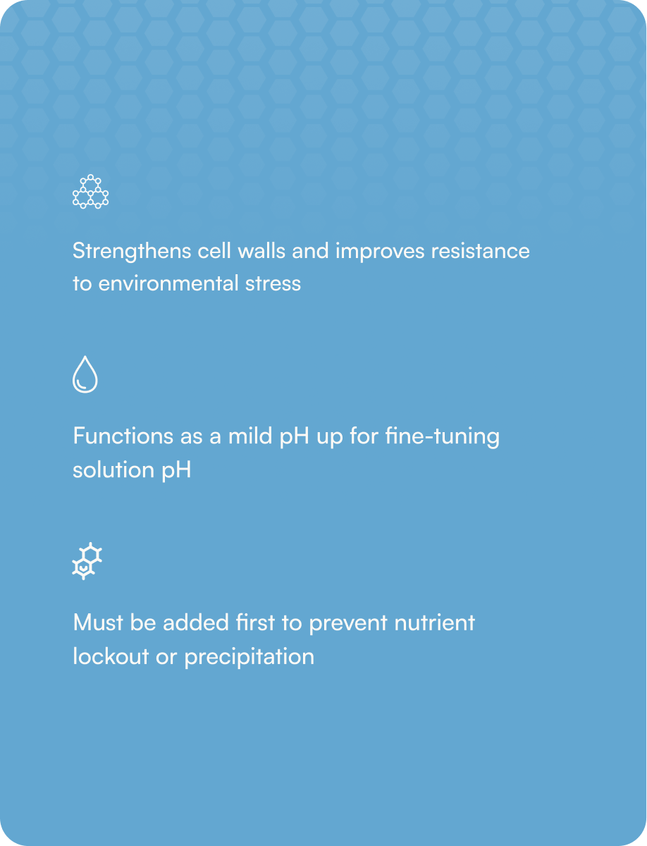 HGV Condition - Level