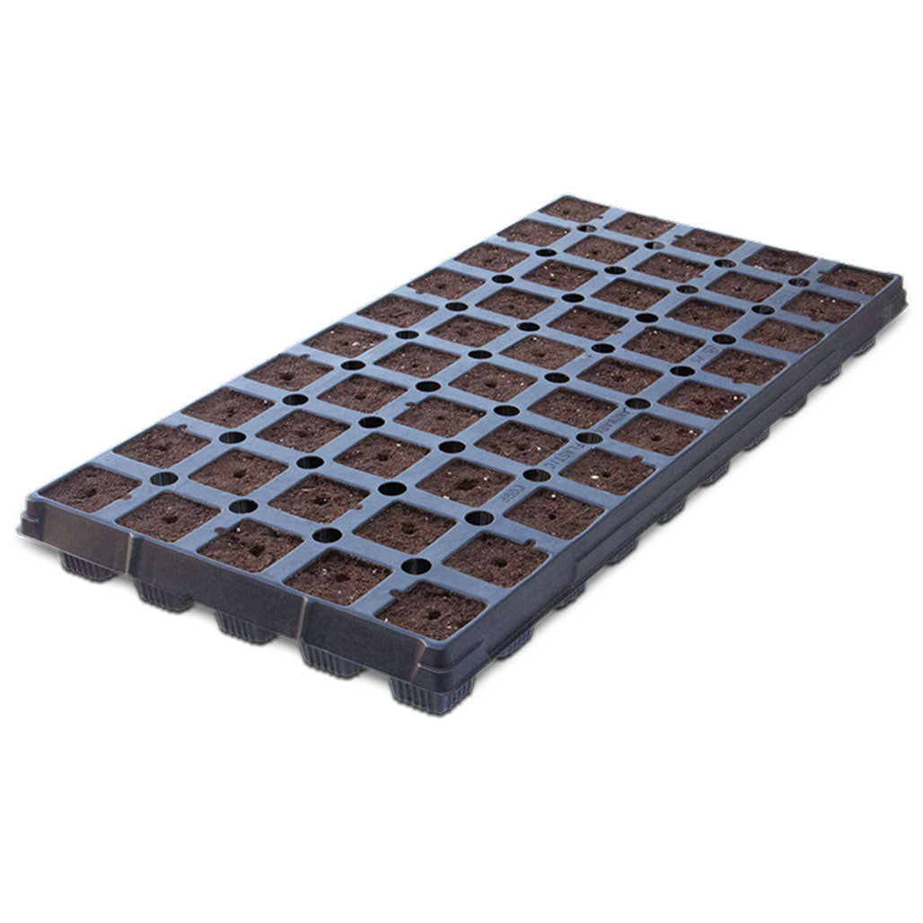 IHORT T50 Prefilled Excel Plug Tray, Case of 7 Trays - 350 Total Plugs