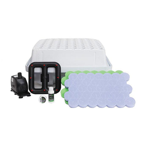 Ez-Clone Low Pro Aeroponic Cloning System for Cuttings