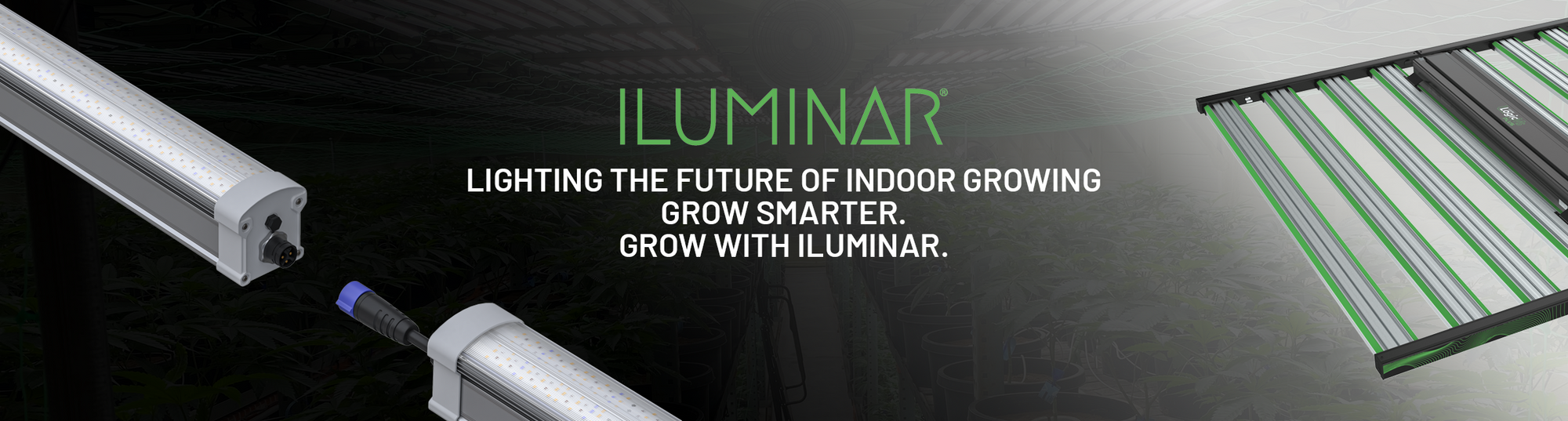 Hydroponics Supplies, Grow Lights & Growing Equipment | Hydrobuilder