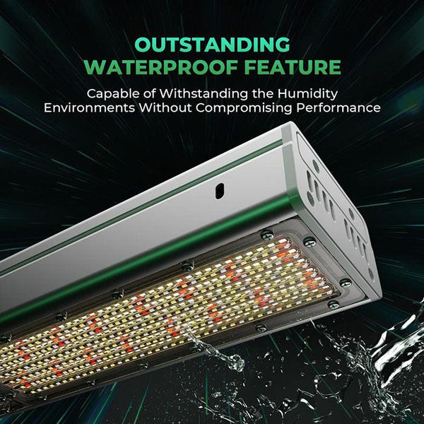 Mars Hydro SP 3000 300W Full Spectrum LED Grow Light