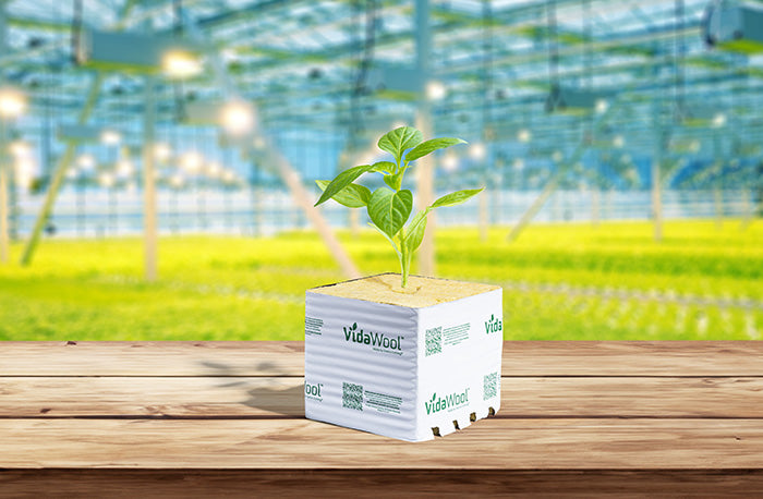 VidaWool Rockwool Block