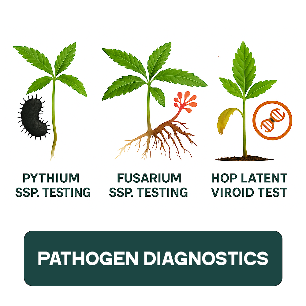 Arvum Pathogen Diagnostics for Fusarium & Pythium Testing