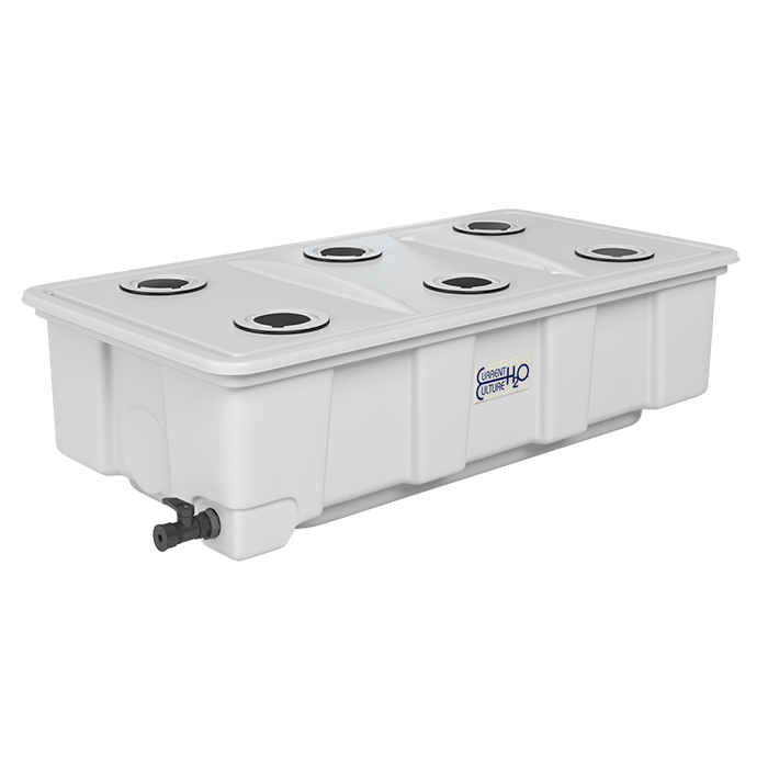 Current Culture Under Current Solo Commercial DWC System, 35 Gallons